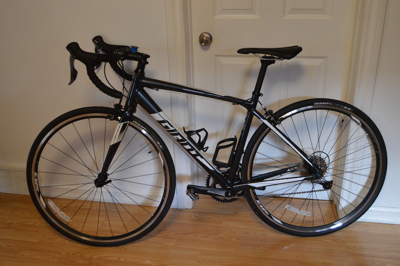 2019 Giant Contend 3 For Sale