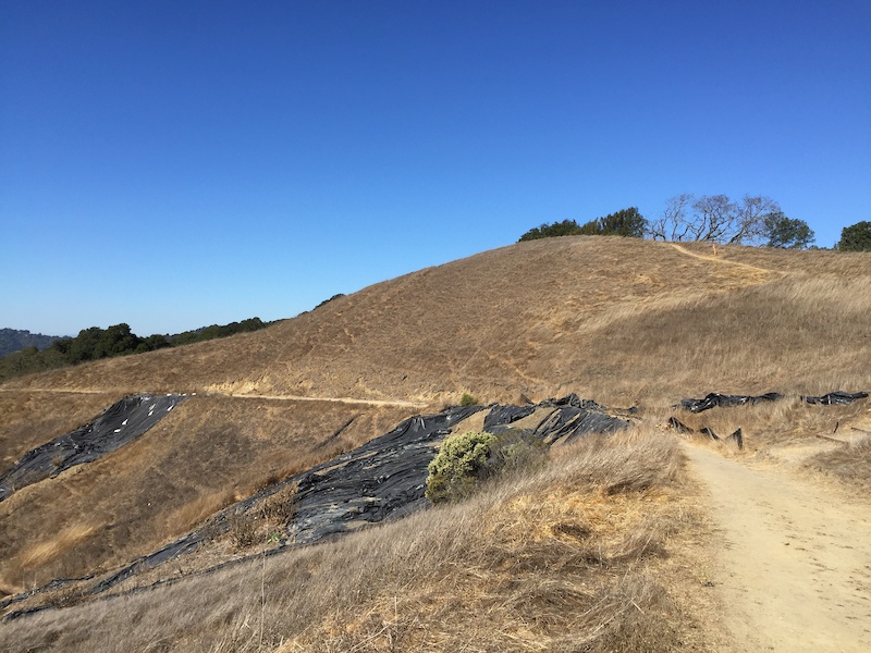 Lafayette Ridge Multi Trail - Walnut Creek, California