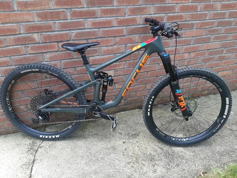 2019 Focus Sam For Sale