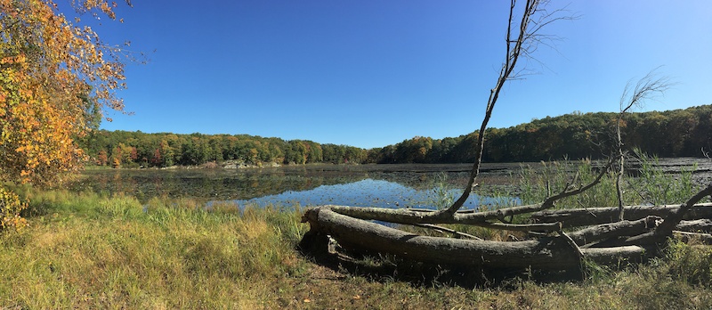 Tarrywile Enduro Ride Mountain Biking Route | Trailforks
