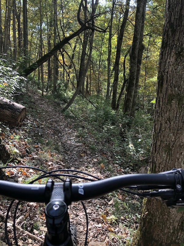 Life Adventure Center Trail Multi Trail - Versailles