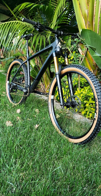 2020 Diamondback Sync'r Carbon For Sale