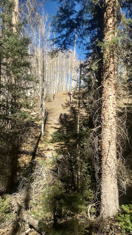 Wilson Mesa Multi Trail - Telluride, CO | Trailforks