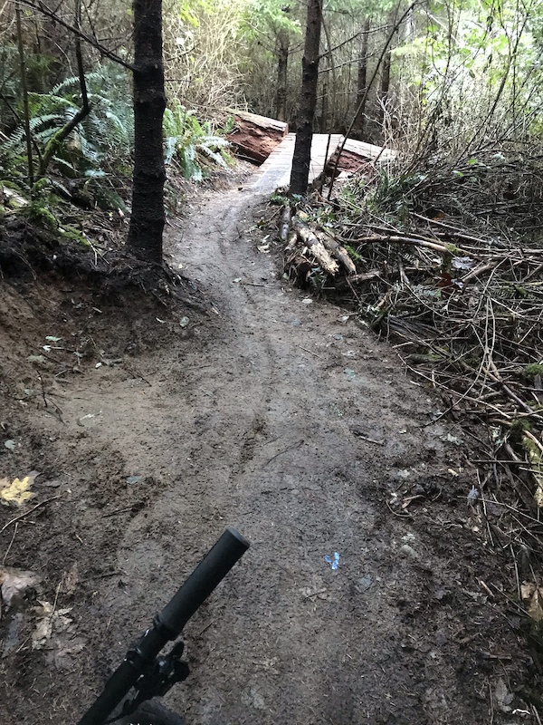 Pushin' the Bush Mountain Biking Trail - Qualicum Beach