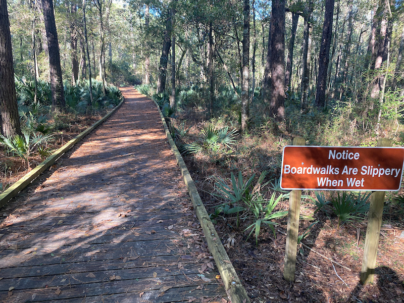 Borderland Trail Mountain Biking Trail - Adel, Georgia