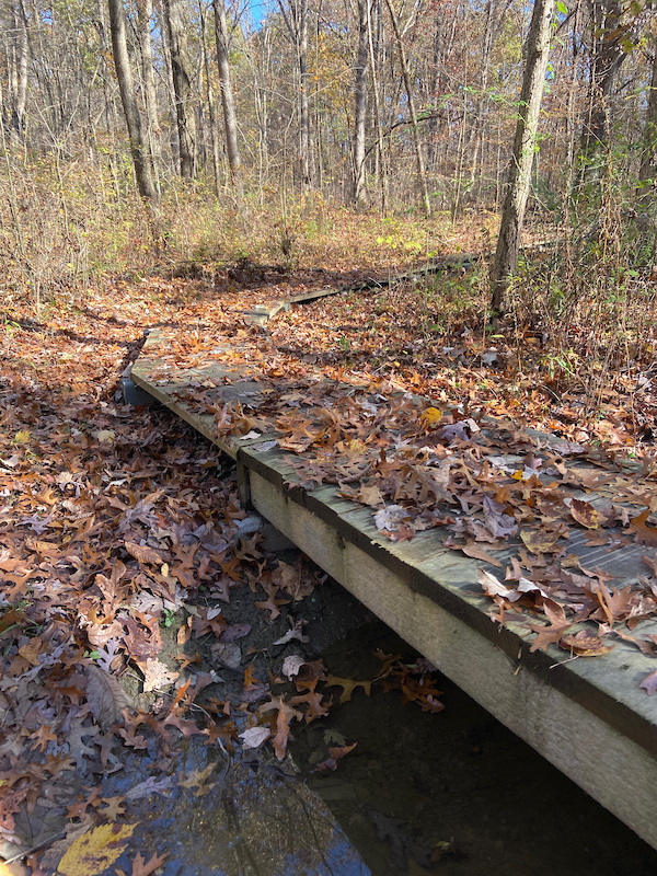 Lake Milton Loop Mountain Biking Trail - Youngstown, Ohio