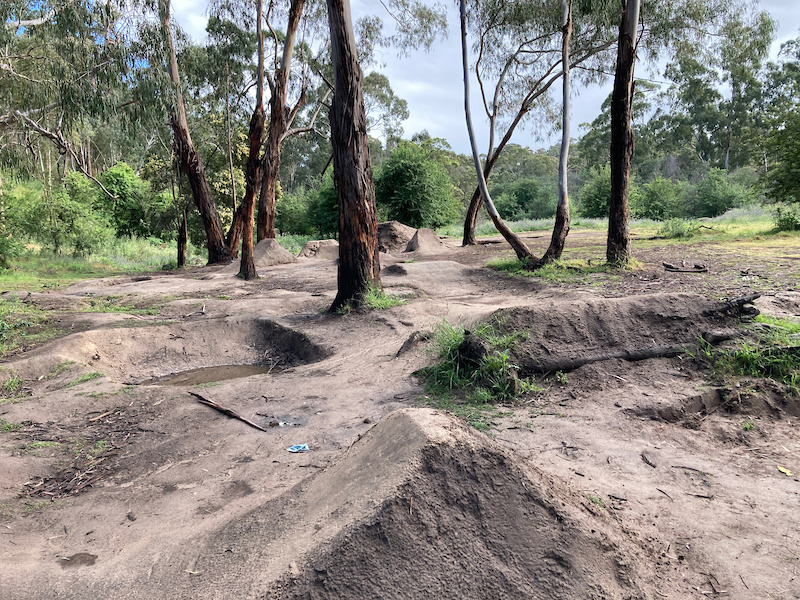 Tricky Trees Mountain Biking Trail - Melbourne