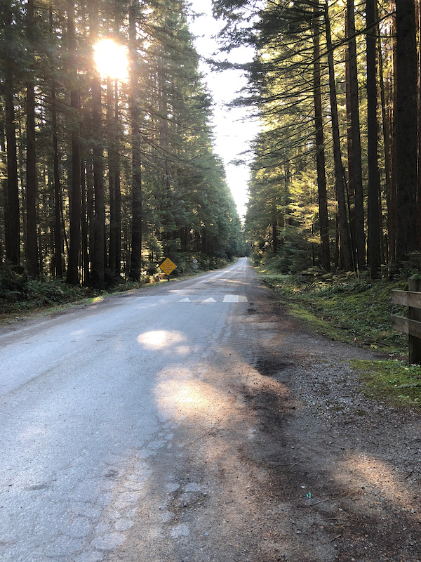 Circuit 8 Access Trail Multi Trail - North Vancouver