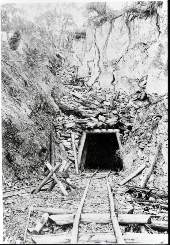 Gold Mine Adit POI | Trailforks