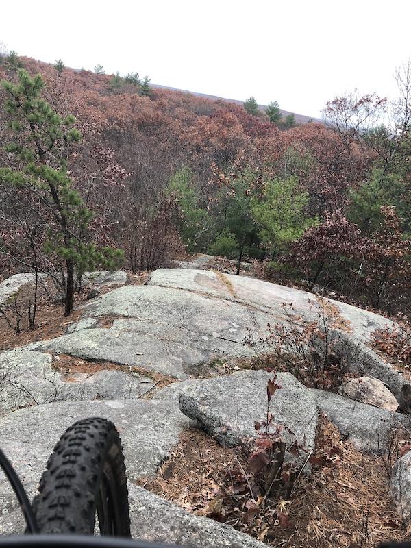 Tour of F. Gilbert Hills State Forest Mountain Biking Route | Trailforks