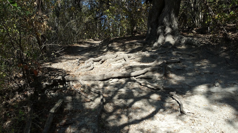 Root Drop Multi Trail - Austin, Texas | Trailforks