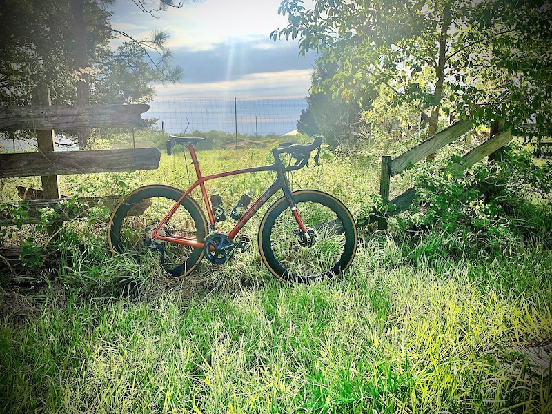 2019 Trek Domane Custom For Sale