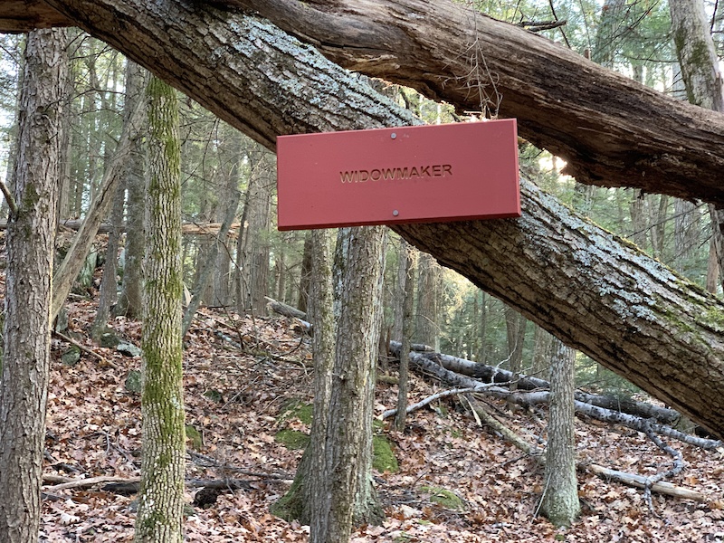 Nov 15, 2020 Widowmaker Trail Report | Trailforks