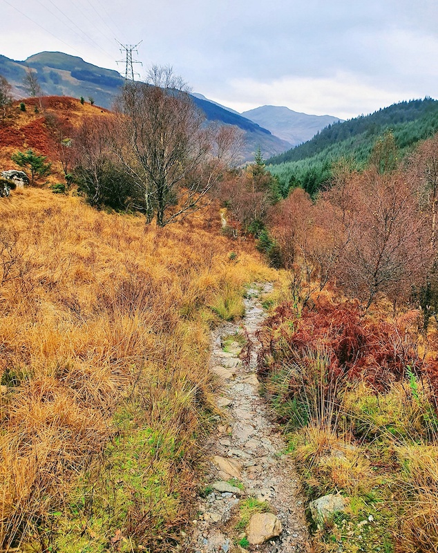 Glen Loin Loop Mountain Biking Route | Trailforks