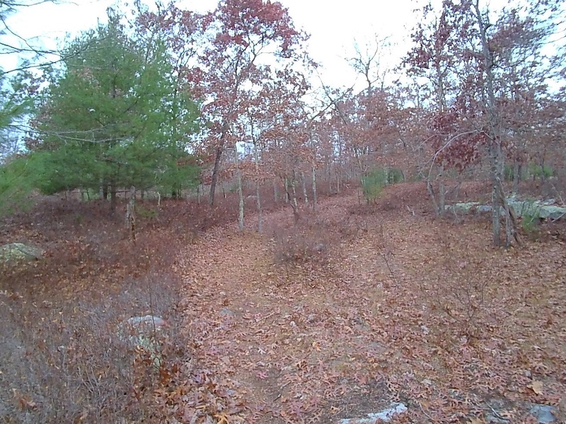 20 MILE ROUTE Mountain Biking Route | Trailforks