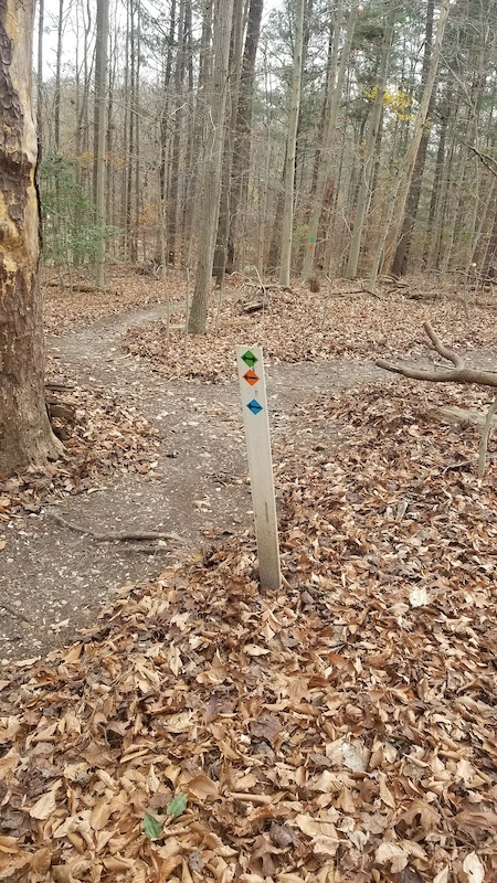 Cosca Regional Park Mountain Biking Trails | Trailforks