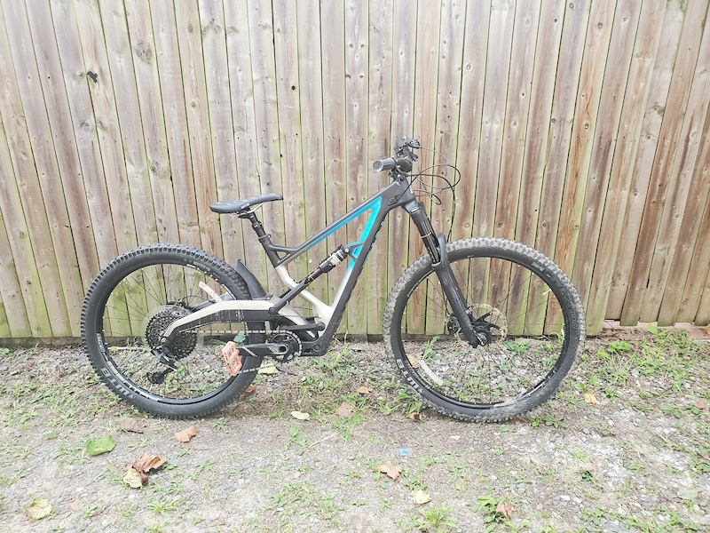 2020 Marin Wolf Ridge 8 For Sale