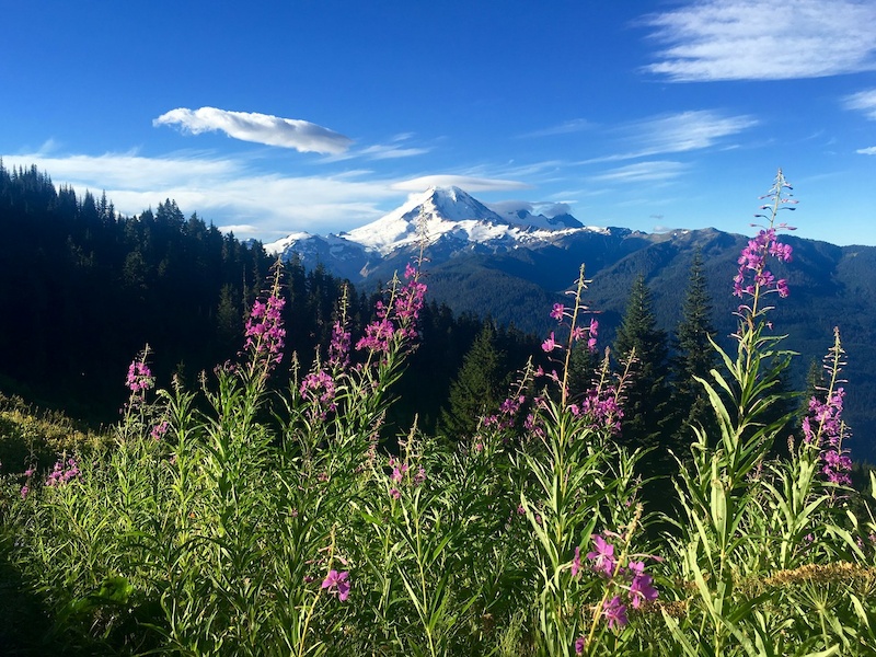 Canyon Ridge Trail Mountain Biking Trail - - Washington