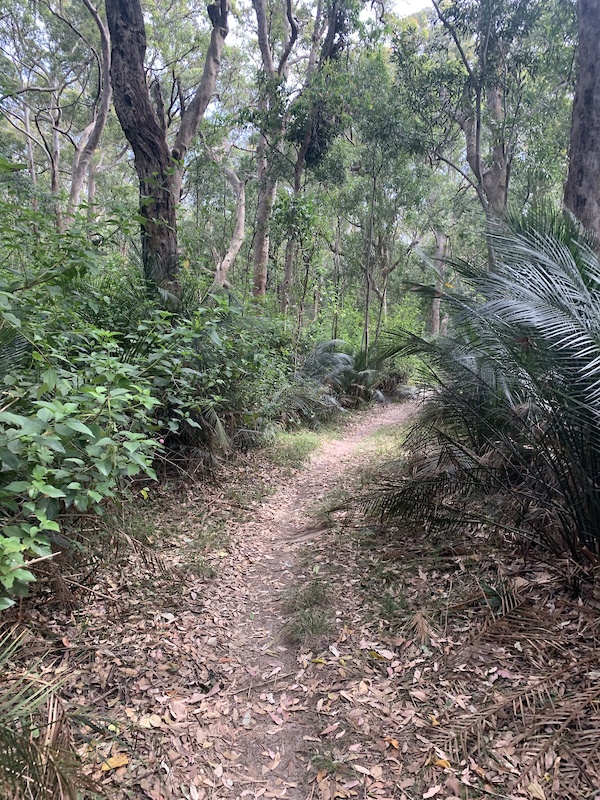 Crooked river trail Mountain Biking Trail - Nowra