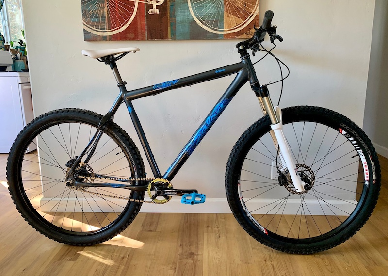 2010 Salsa Selma Scandium Carbon Single Speed For Sale