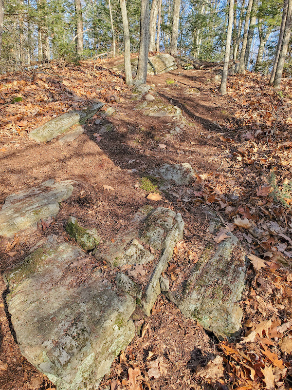 Pitch (red blaze) Mountain Biking Trail - Thomaston