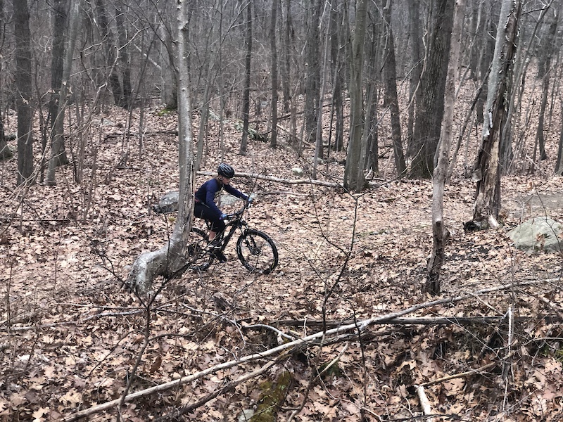 Border/Mulch Pit Trail Mountain Biking Trail - Mount Olive