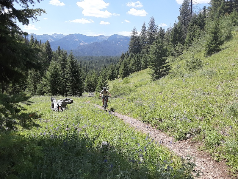 20 mile grinder Mountain Biking Route | Trailforks