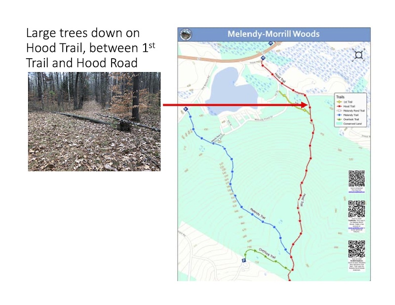 Hood Trail Multi Trail - Brookline, New Hampshire