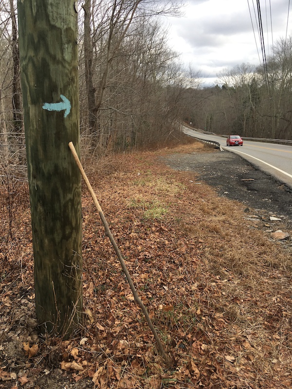 Natchaug Trail - Bigelow Brook Hiking Trail - Eastford, CT