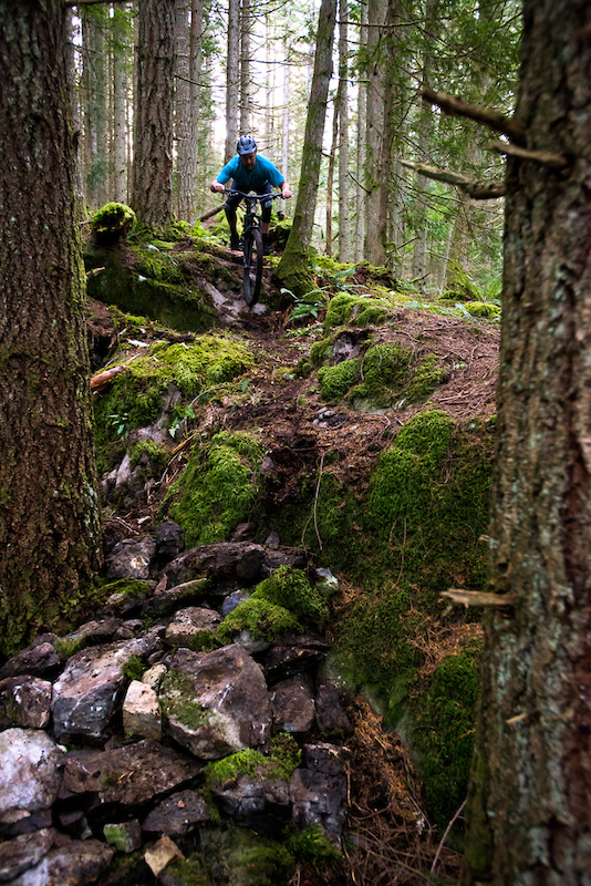 Mount Erie Hiking Trail - Anacortes, Washington