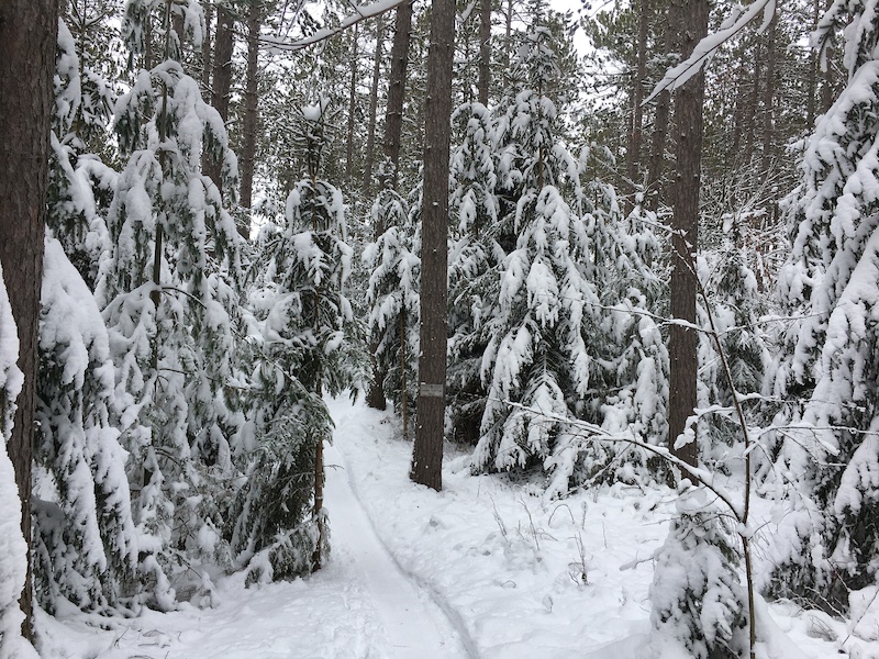 Central Park Trail Multi Trail - Mono, Ontario