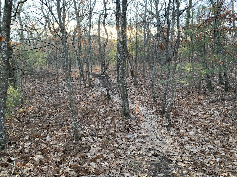 Rock Candy Mountain Biking Trail - Round Top, New York