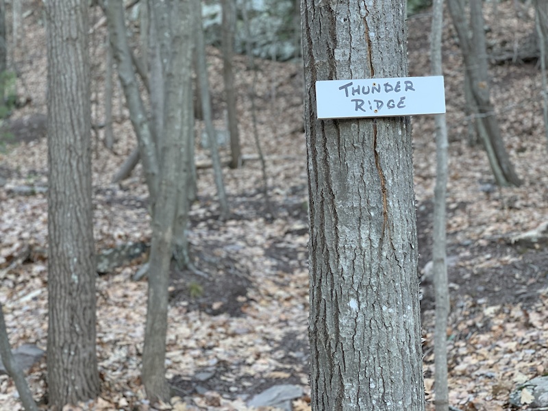 Thunder Ridge Mountain Biking Trail - Round Top, New York