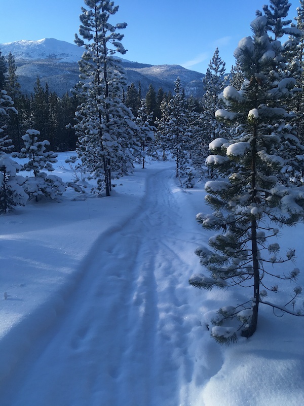 Mount Sima Mountain Biking Trails | Trailforks
