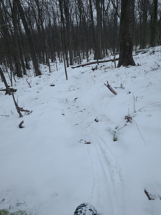 Outcrop Trail Multi Trail - Ligonier, Pennsylvania