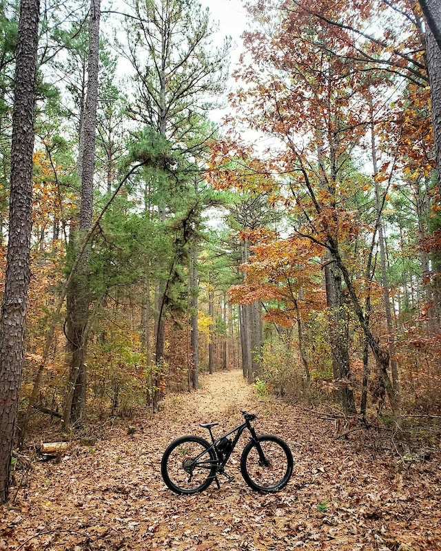 Berryman Campground to Council Bluff Boat Ramp Mountain Biking Route ...
