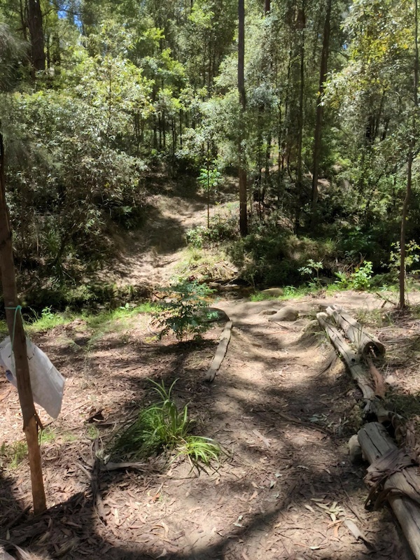 Fred Caterson Reserve Mountain Biking Route | Trailforks