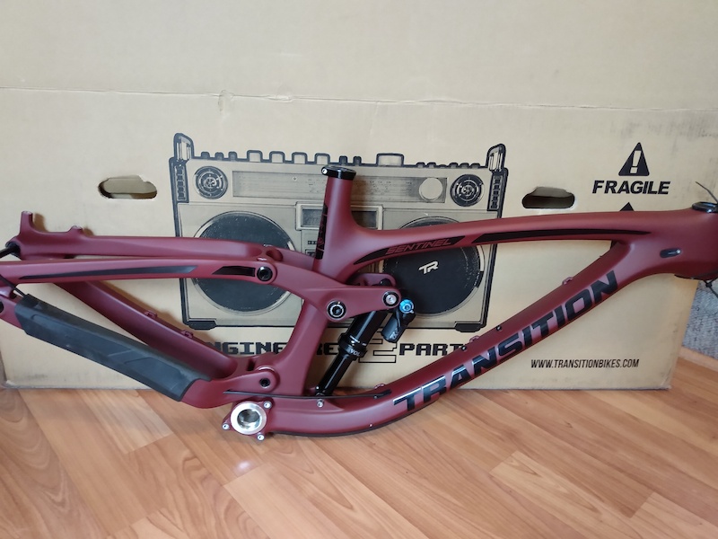 2019 Transition Sentinel Carbon For Sale