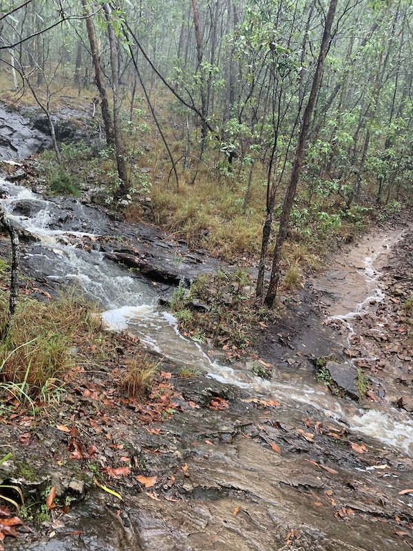 11km Single Trail Loop Trail Running Route | Trailforks