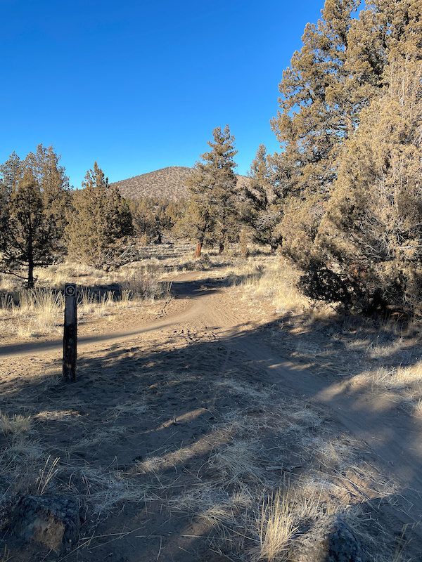 Oregon Sunshine Trail Mountain Biking Trail - Redmond