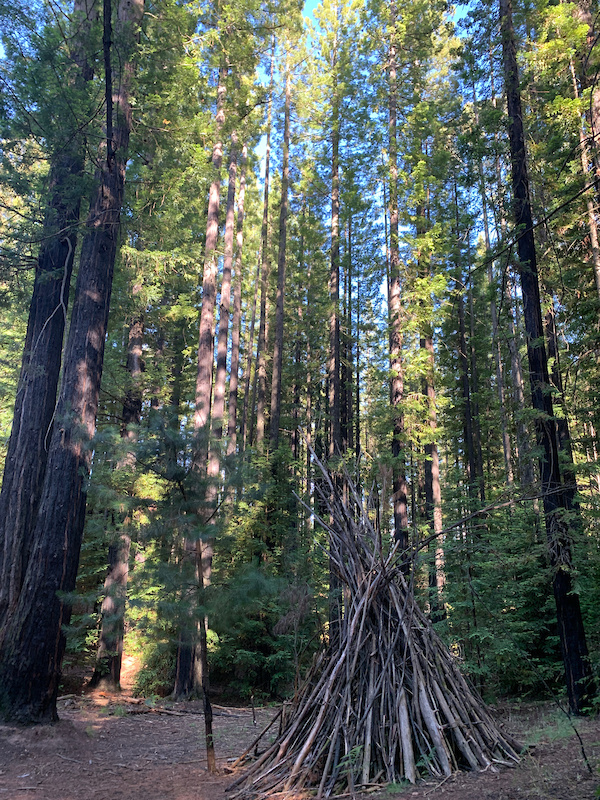 Magic Forest Mountain Biking Trail - | Trailforks