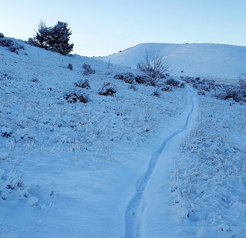 MRJD Endurance Benchmark Mountain Biking Route | Trailforks