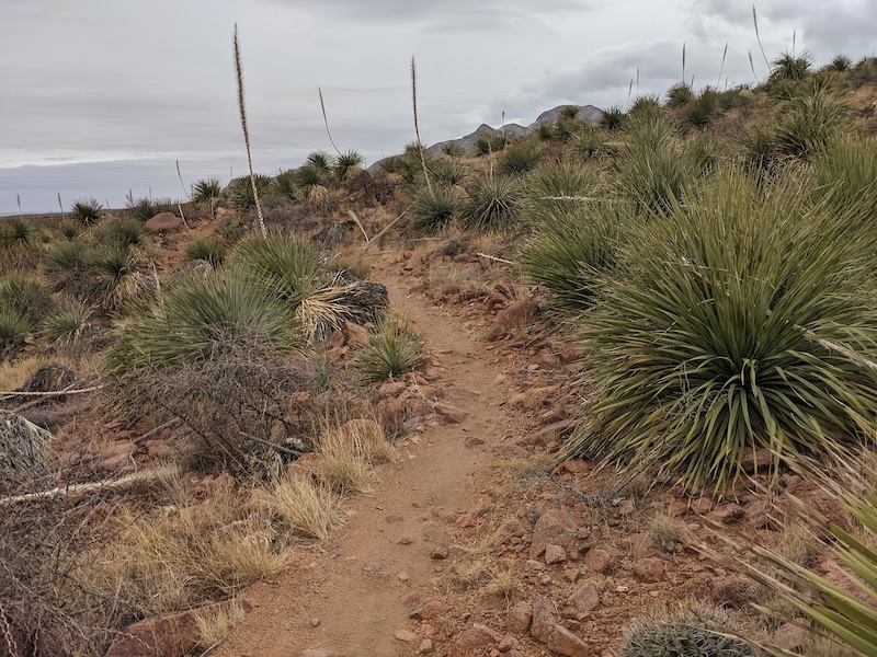 Dust Devil Double MTB Mountain Biking Route | Trailforks