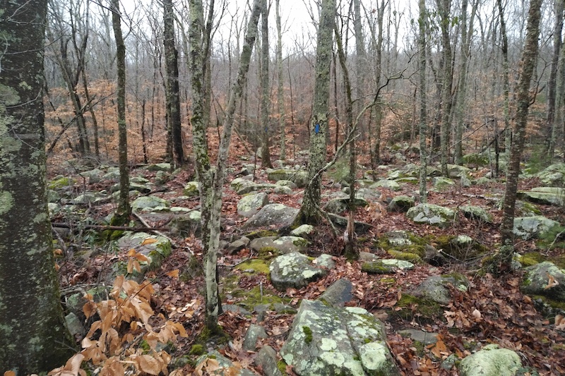 The Other Way Mountain Biking Trail - Exeter, RI