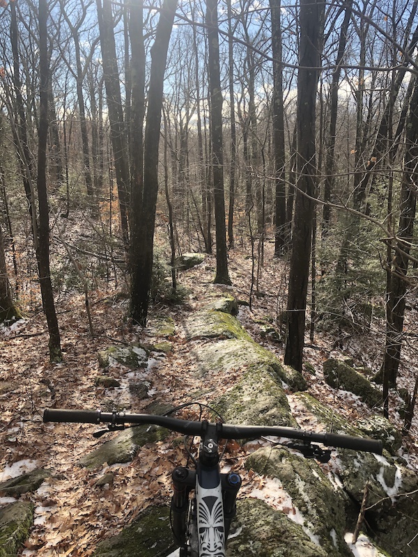 Batchelor Street (Serpentine and Viper to Serpent God) Mountain Biking ...