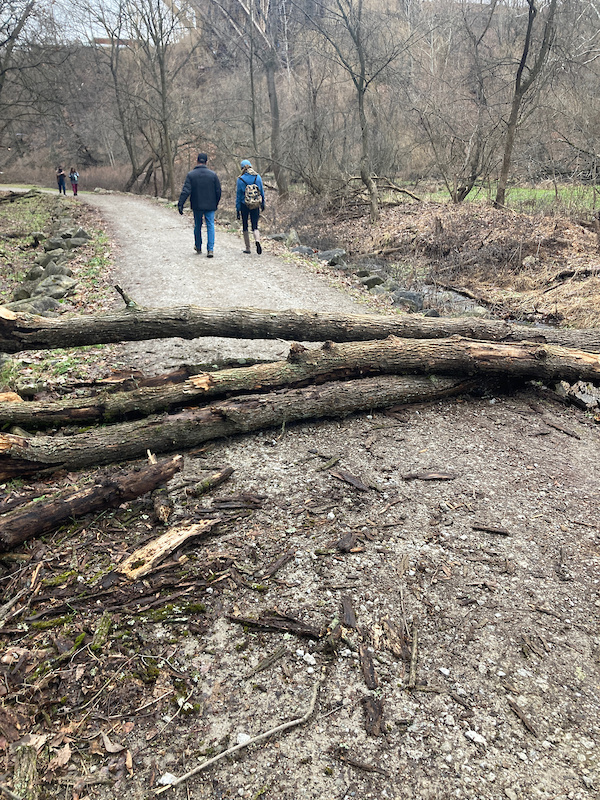Schenley Park, Pittsburgh Mountain Biking Trails | Trailforks