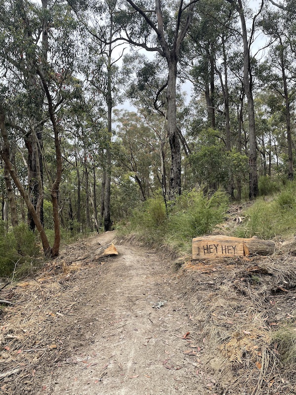 Shire of Yarra Ranges Mountain Biking Trails | Trailforks