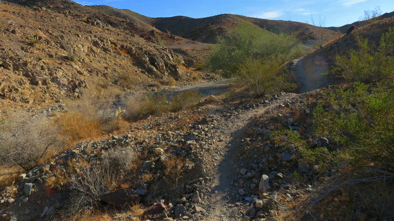 Lo-Ball Mountain Biking Trail - Yuma, Arizona