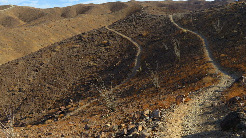 Ocotillo Mountain Biking Trail - Yuma, Arizona