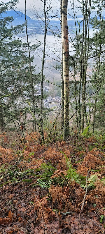 Mt. Thom Trail Hiking Trail - Chilliwack, BC